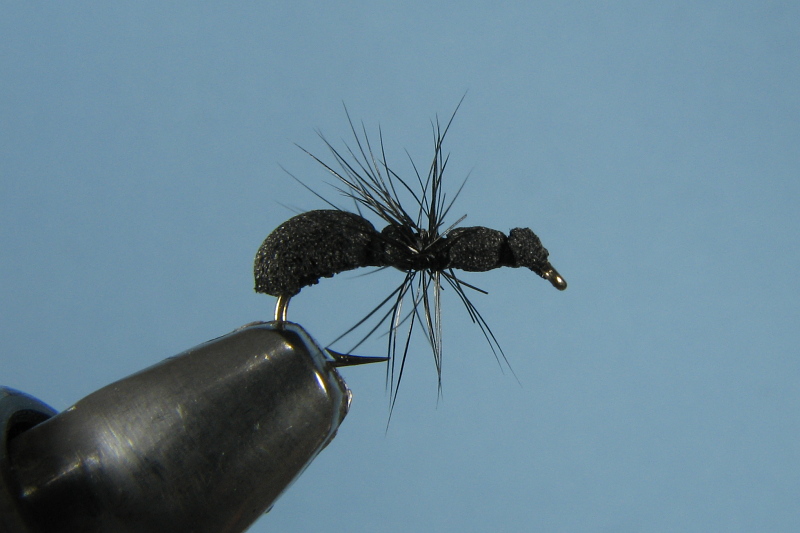 Foam Ant